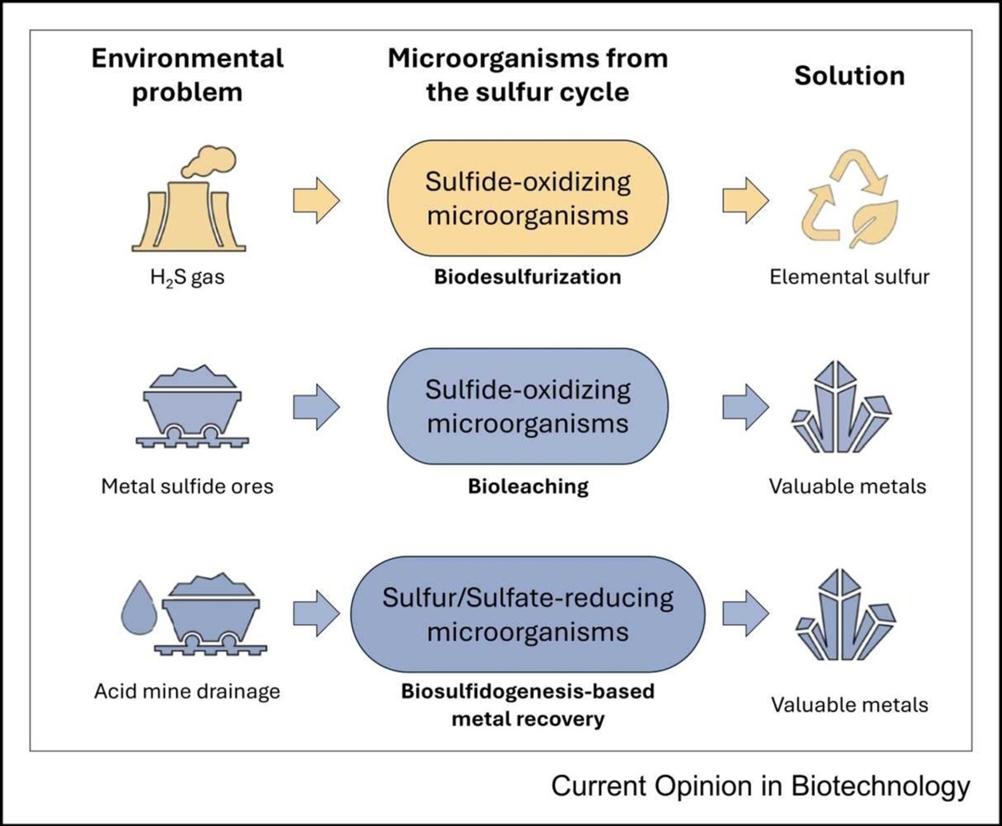 Sulfur bacteria – solution to environmental problems - Wetsus